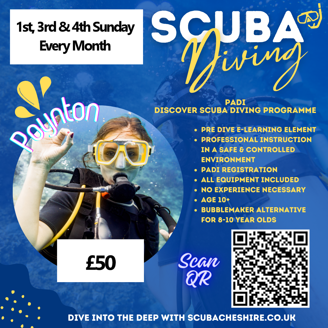 Poynton Try Dive - An introduction to Scuba Diving – Scuba Cheshire